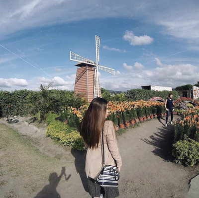 How To Go Flower Farm Taichung From Taipei | Best Flower Site