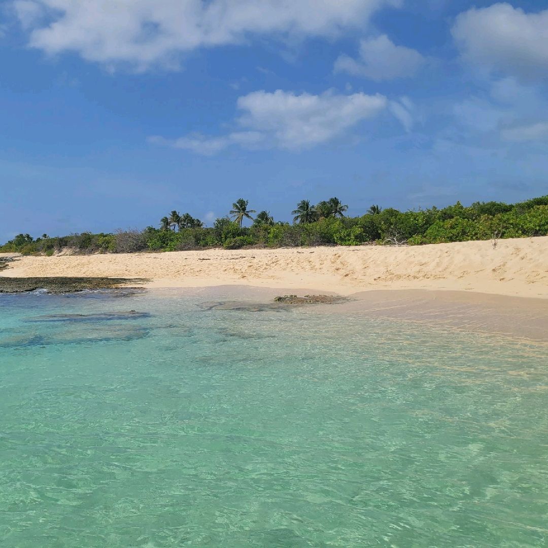 Những Điều Phải Làm Ở Fajardo 2023 - Hướng Dẫn Du Lịch Ở Fajardo - Vé ...