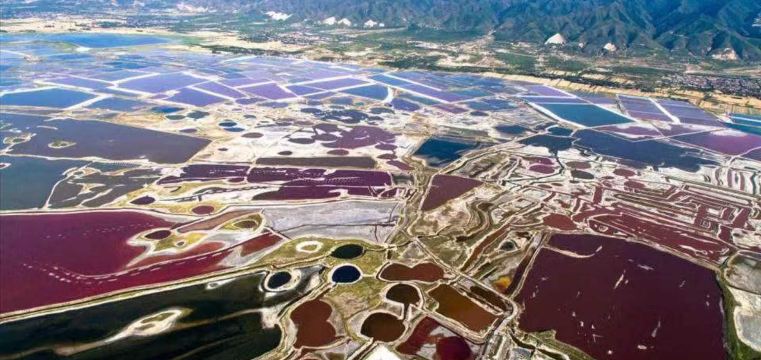 Yanhu District Travel Guide 2025: Top Attractions, Things to Do & Deals ...