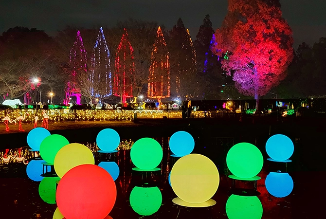 Adachi Luminous Night Festival | Tokyo: Tickets, Dates & Itineraries ...