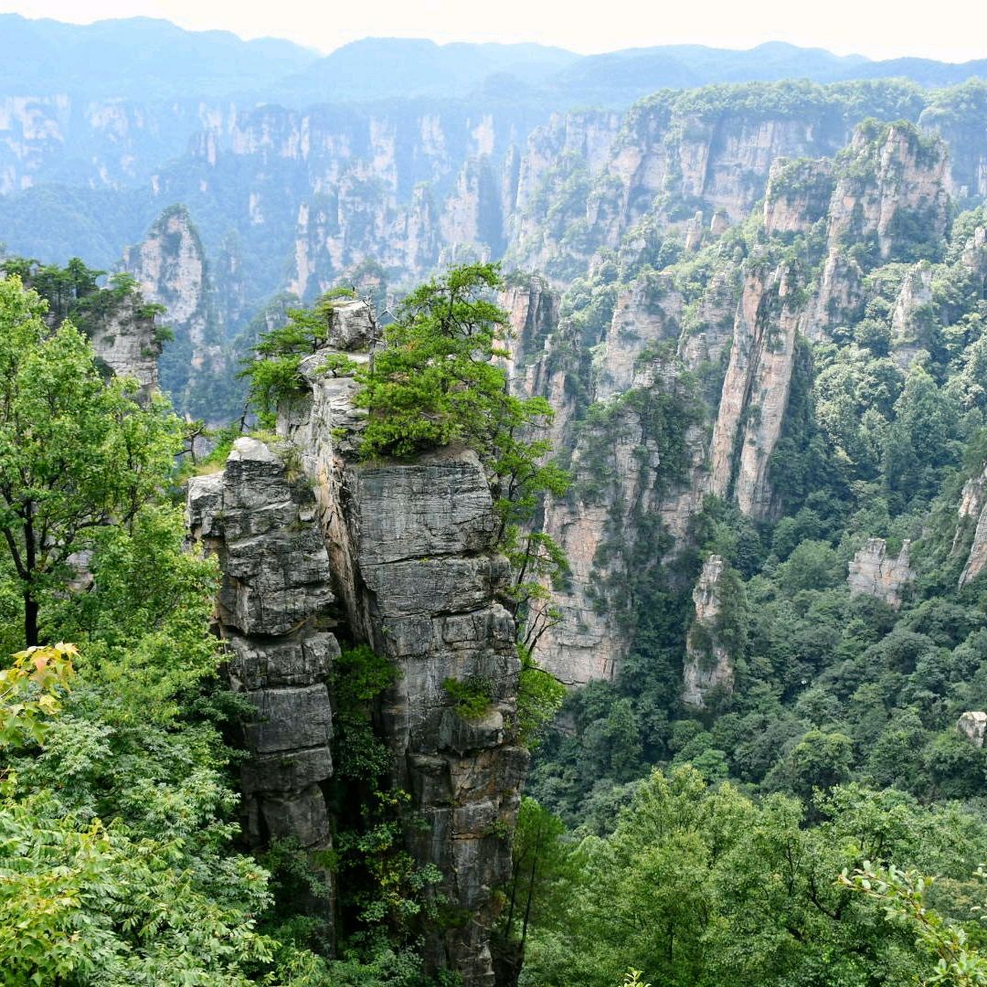 Things to Do in Wulingyuan District in 2024 - Top Attractions, Local ...