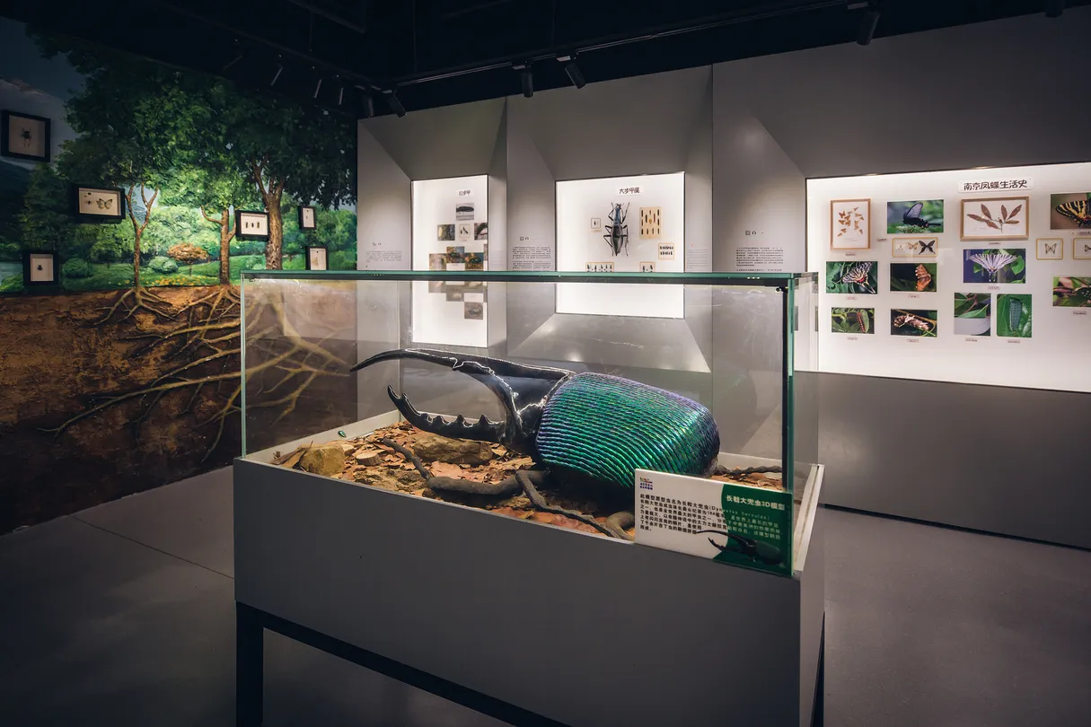 réductions sur les billets de Zijin Mountain Insect Museum, prix et ...