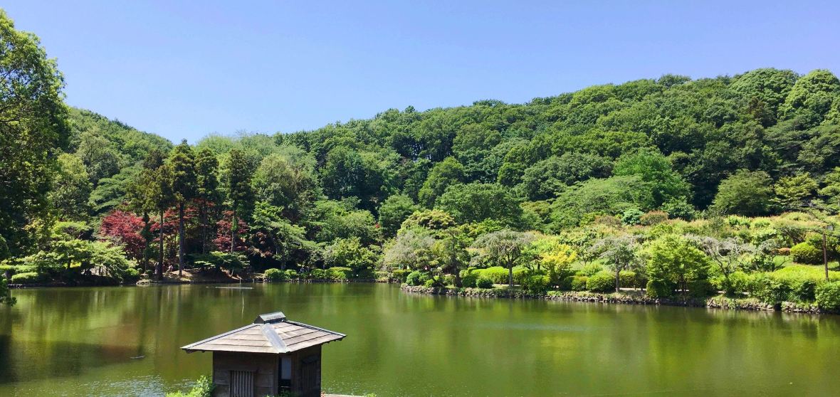 Things to Do in Machida in 2024 - Top Attractions, Local Food, Hotels ...