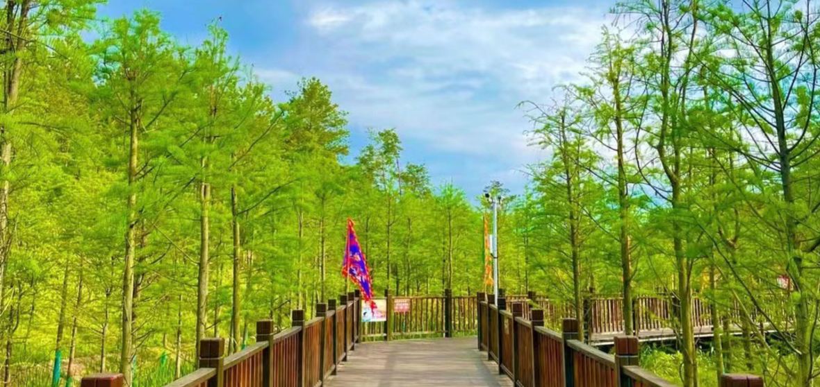 Things to do in Nankang District (2025): Top nearby activities,popular ...