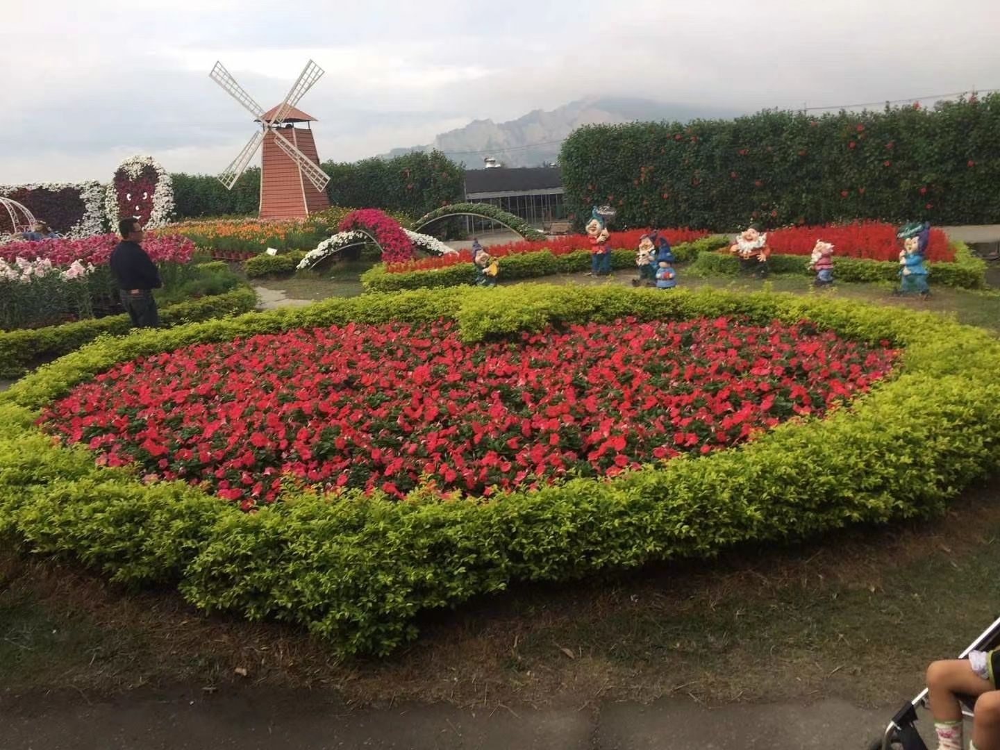 Houli Flower Farm Taichung Entrance Fee | Best Flower Site