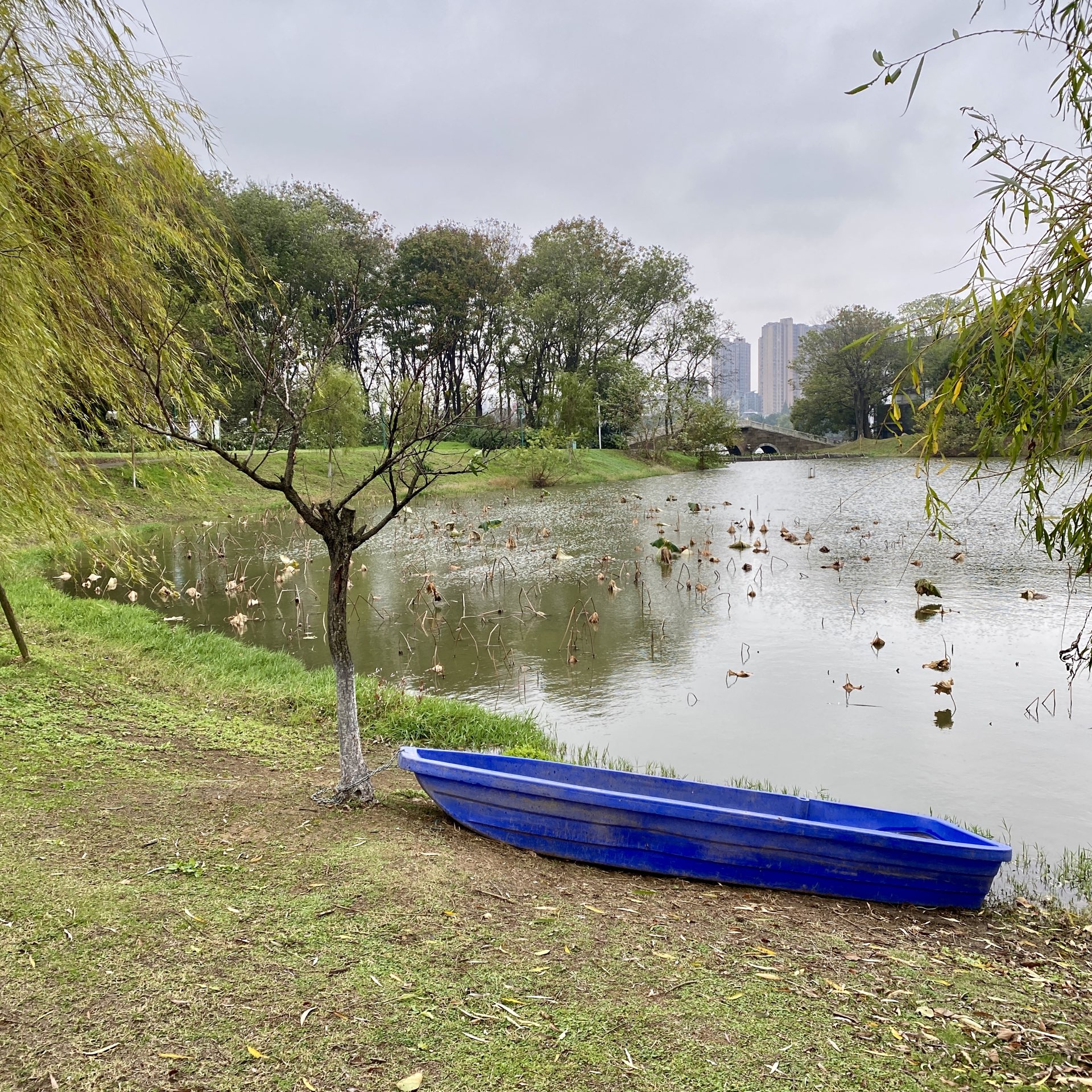 Anqing 2024 Top Things to Do - Anqing Travel Guides - Top Recommended ...