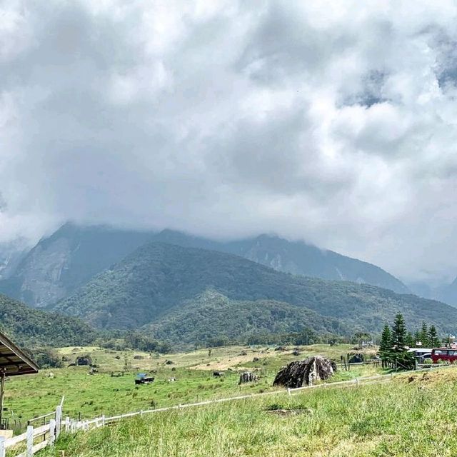 Desa Dairy Farm | Trip.com Ranau