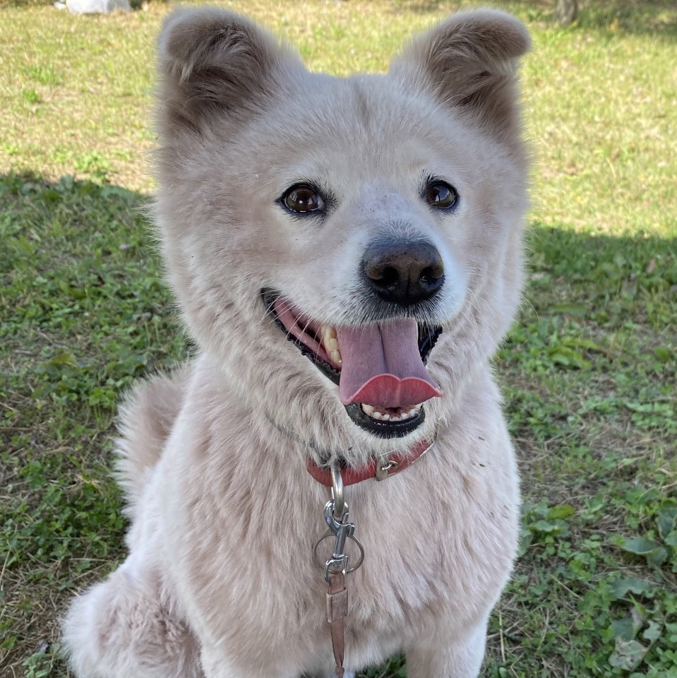 Haman-gun Travel Guide 2023 - Things to Do, What To Eat & Tips | Trip.com