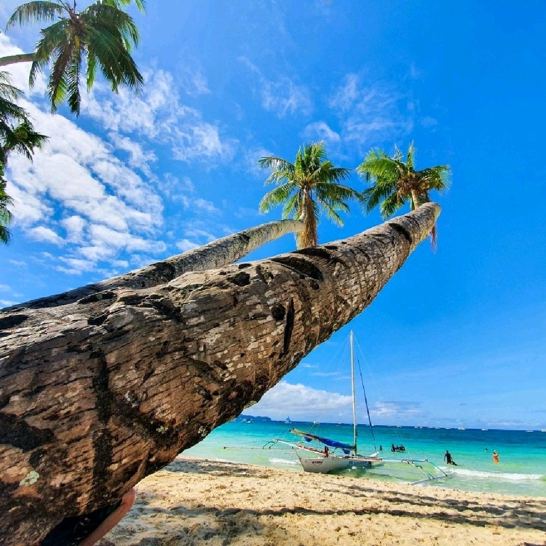 Things to Do in Boracay Island in 2024 - Top Attractions, Local Food ...
