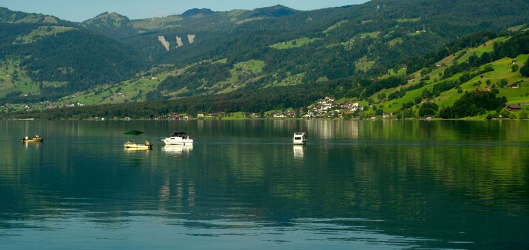 Things to do in Sarnen (2025): Top nearby activities,popular ...
