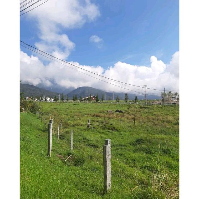 Desa Dairy Farm | Trip.com Ranau