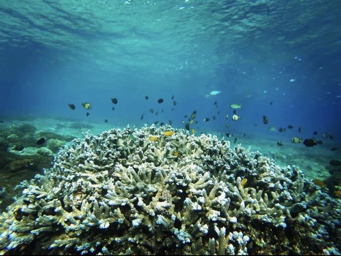 Gamat Bay | Trip.com Bali Travelogues