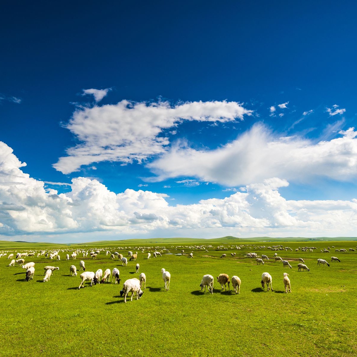 Hulunbuir 2024 Top Things to Do - Hulunbuir Travel Guides - Top ...