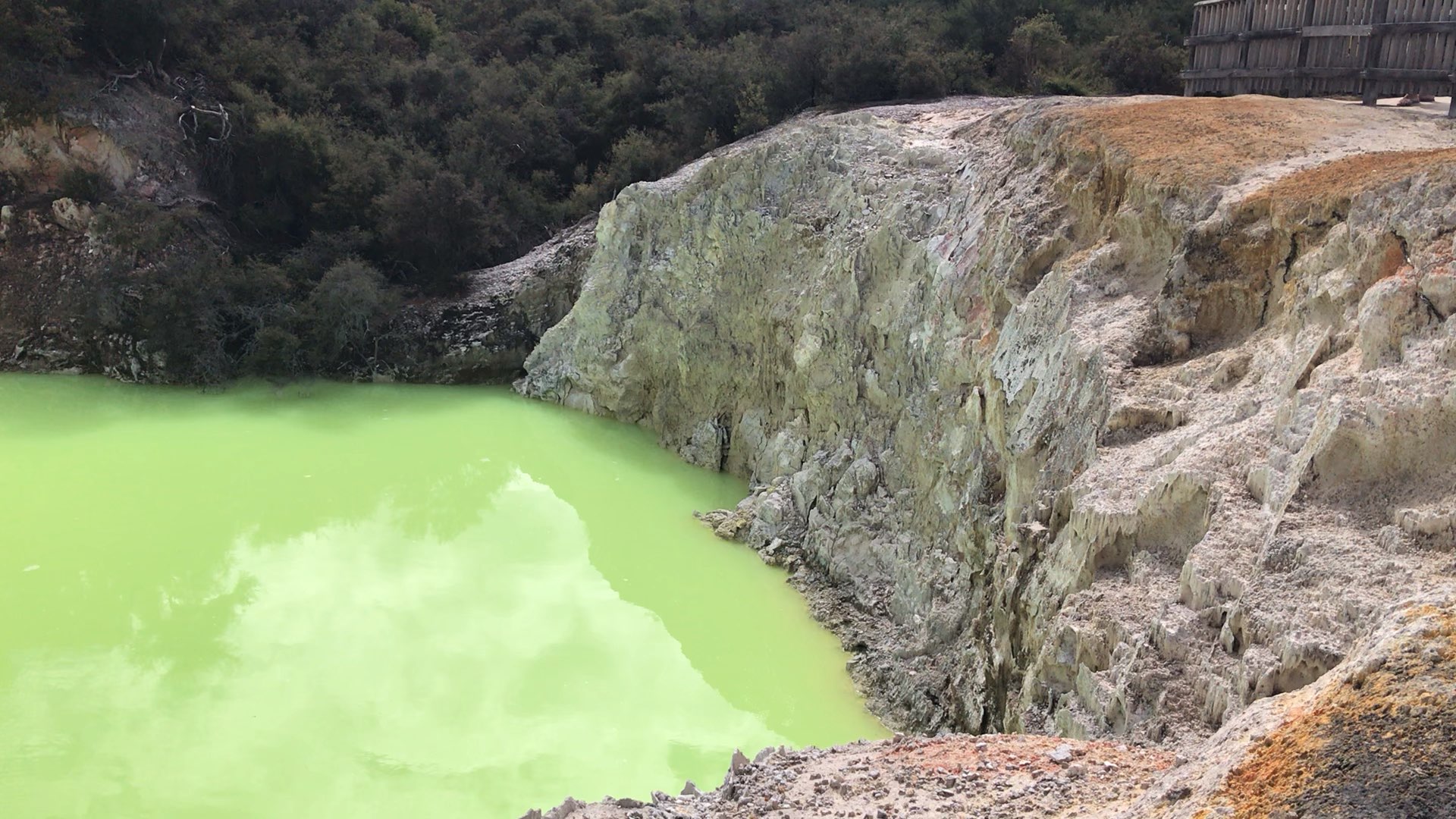 Rotorua Travel Guide 2023 - Things to Do, What To Eat & Tips | Trip.com