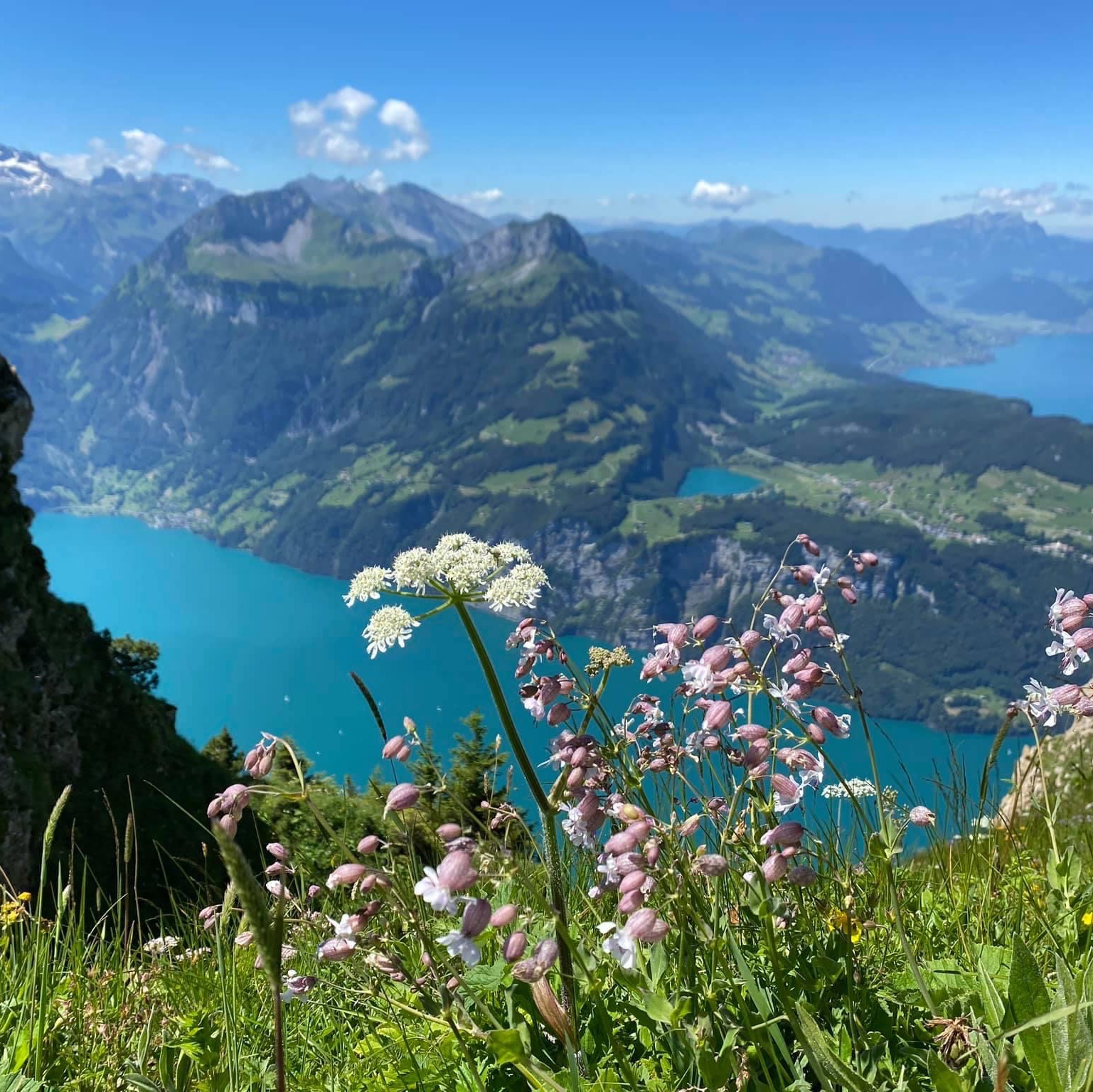 Schwyz Travel Guide 2023 - Things to Do, What To Eat & Tips | Trip.com