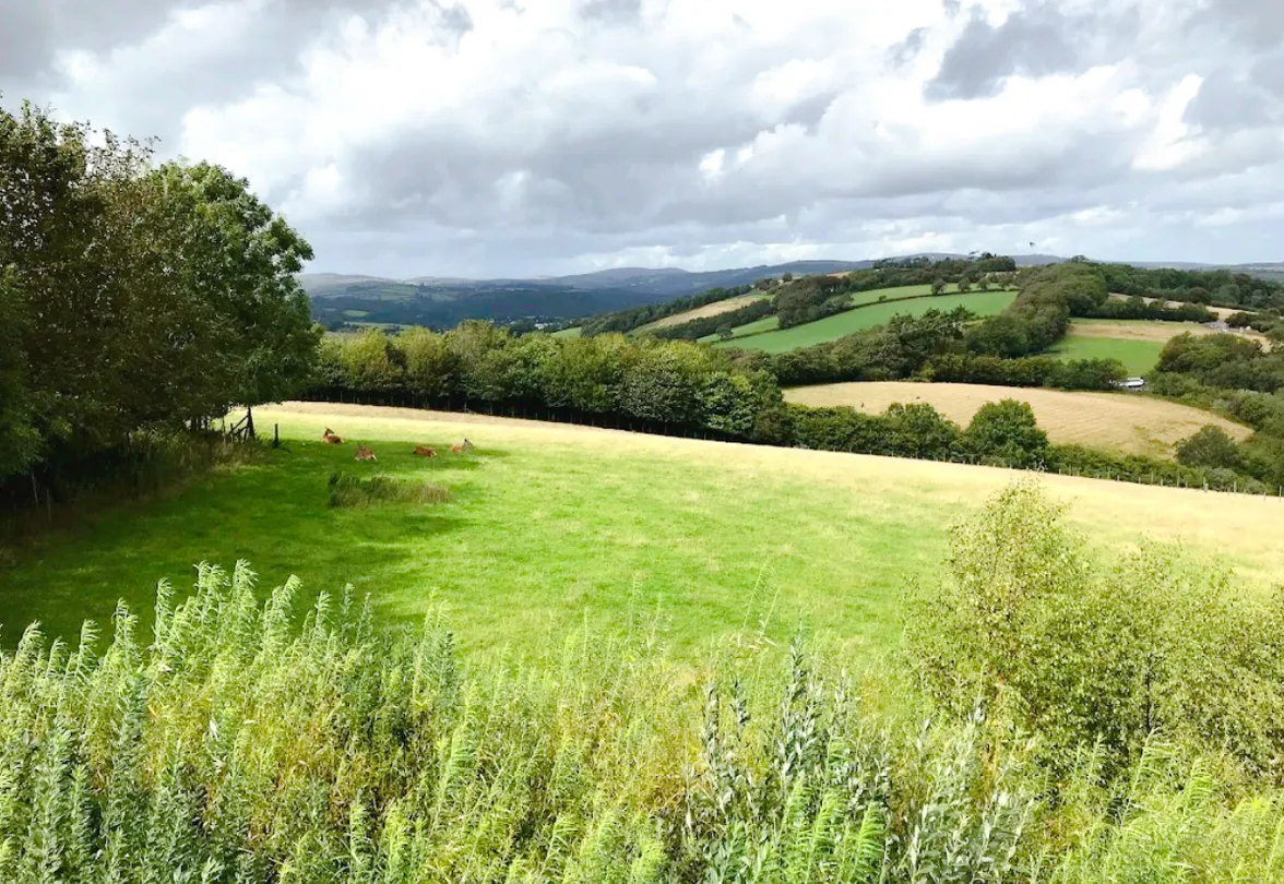 Pennywell Farm Tickets [2026] - Promos, Prices, Reviews & Opening Hours ...