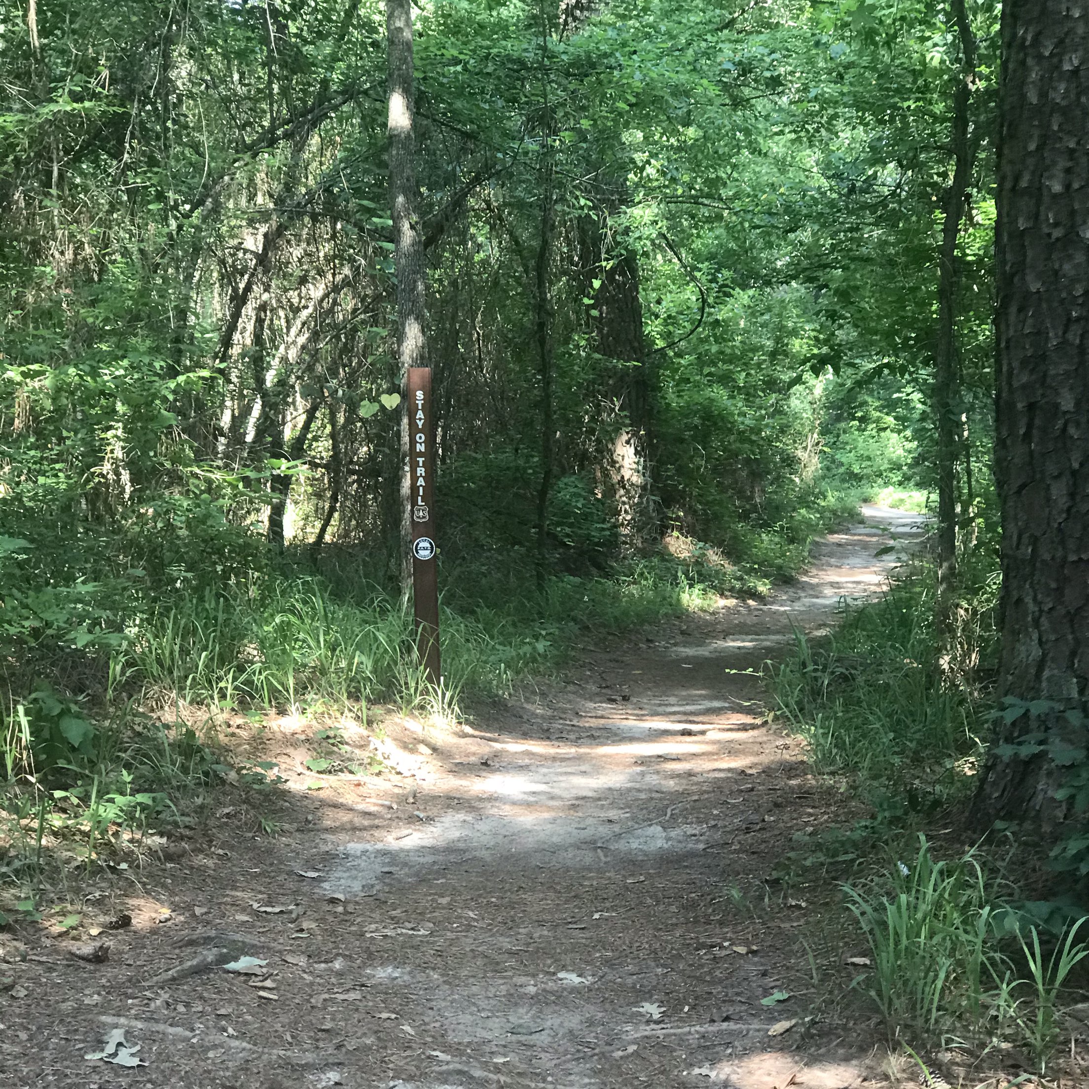 Edgefield County 2023 Top Things to Do - Edgefield County Travel Guides ...