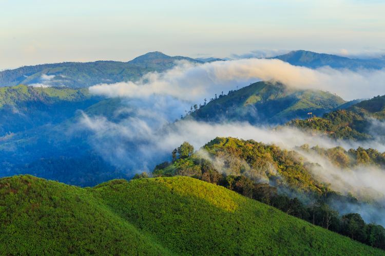 10 Best Hotels with Rooftop Pools in Thong Pha Phum | Trip.com