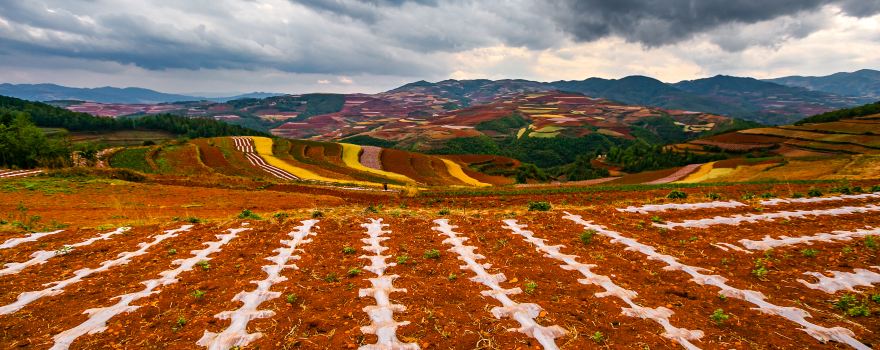 Dongchuan District Travel Guide 2025: Top Attractions, Things to Do ...