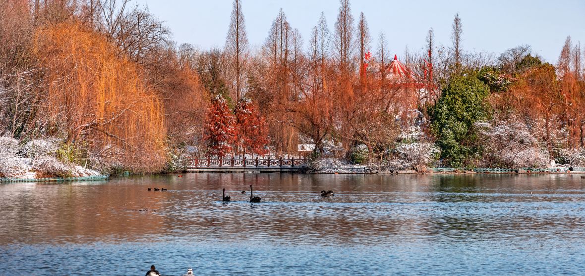 Things to Do in Innerkip in 2025 - Top Attractions, Local Food, Hotels ...