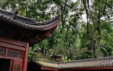 The Tiger Jump | Trip.com Hangzhou Travelogues