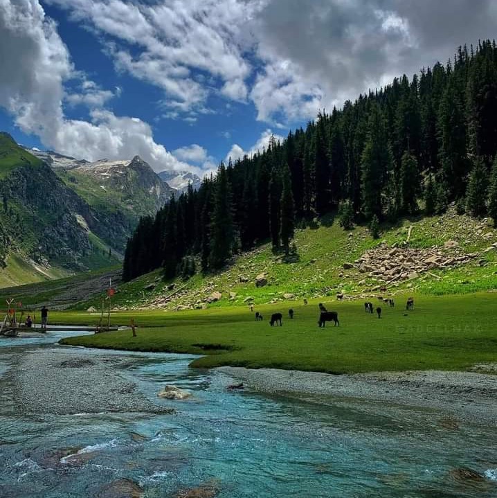 Timergara 2023 Top Things to Do - Timergara Travel Guides - Top ...