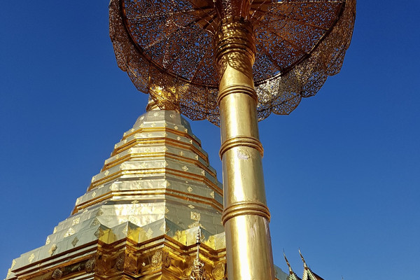 “a must visit golden place in | Trip.com เชียงใหม่