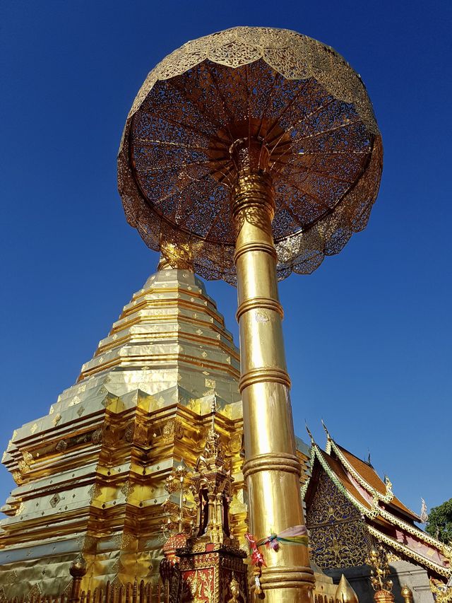 “a must visit golden place in | Trip.com เชียงใหม่