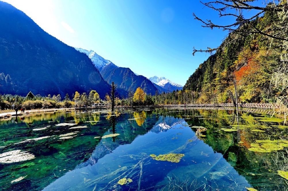 Chengdu departure - Bipenggou attraction (luxury air-conditioned bus ...