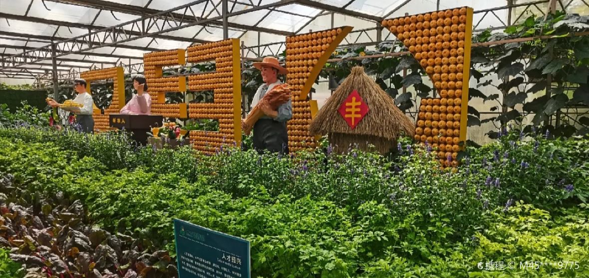 Things to Do in Shouguang in 2025 - Top Attractions, Local Food, Hotels ...