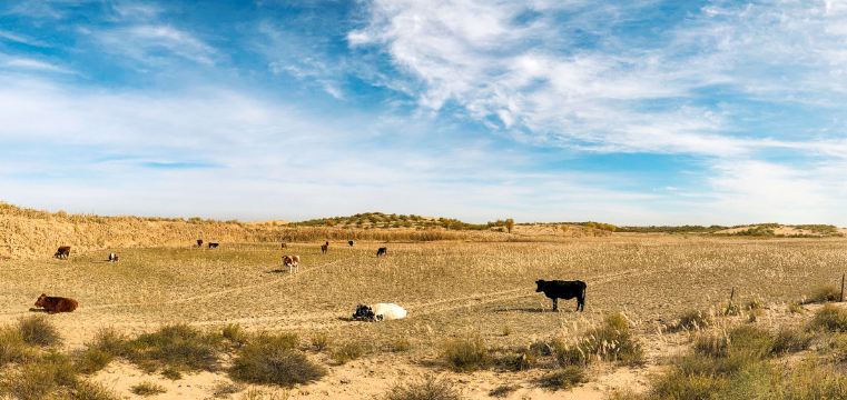 Uxin Banner Travel Guide 2025: Top Attractions, Things to do ...