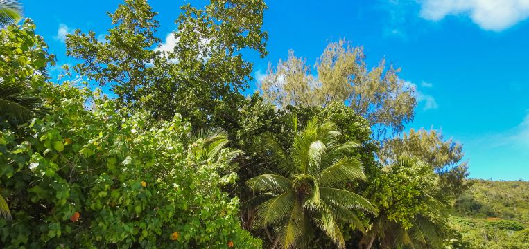 Beau Vallon independent travel guide (2025): top things to do near you ...