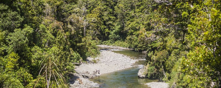 Things to do in Upper Hutt (2025): Top nearby activities,popular ...