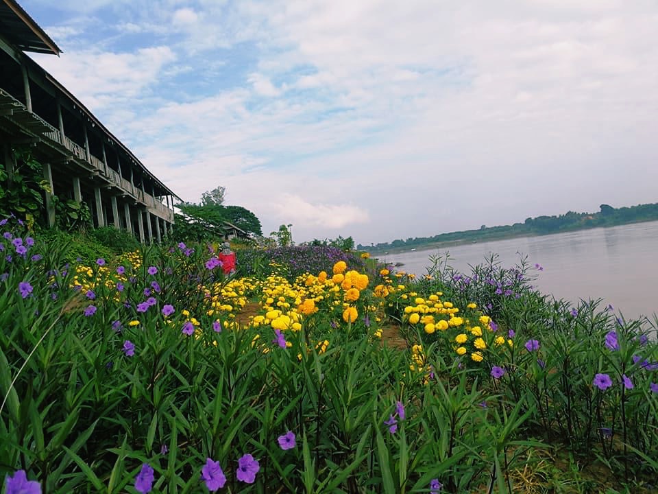 Things to Do in Chiang Kham in 2025 - Top Attractions, Local Food ...