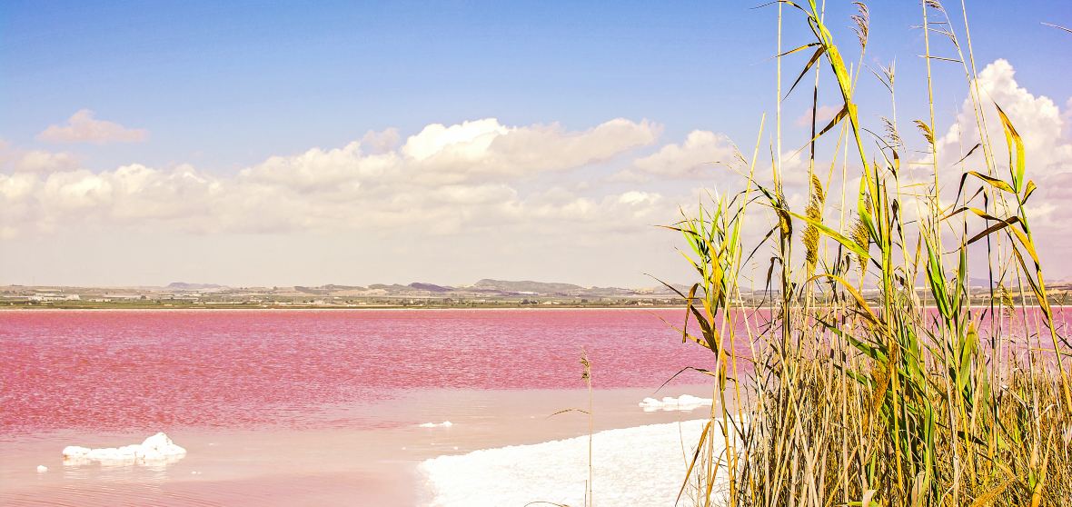 Things to do in Torrevieja (2025): Top nearby activities,popular ...