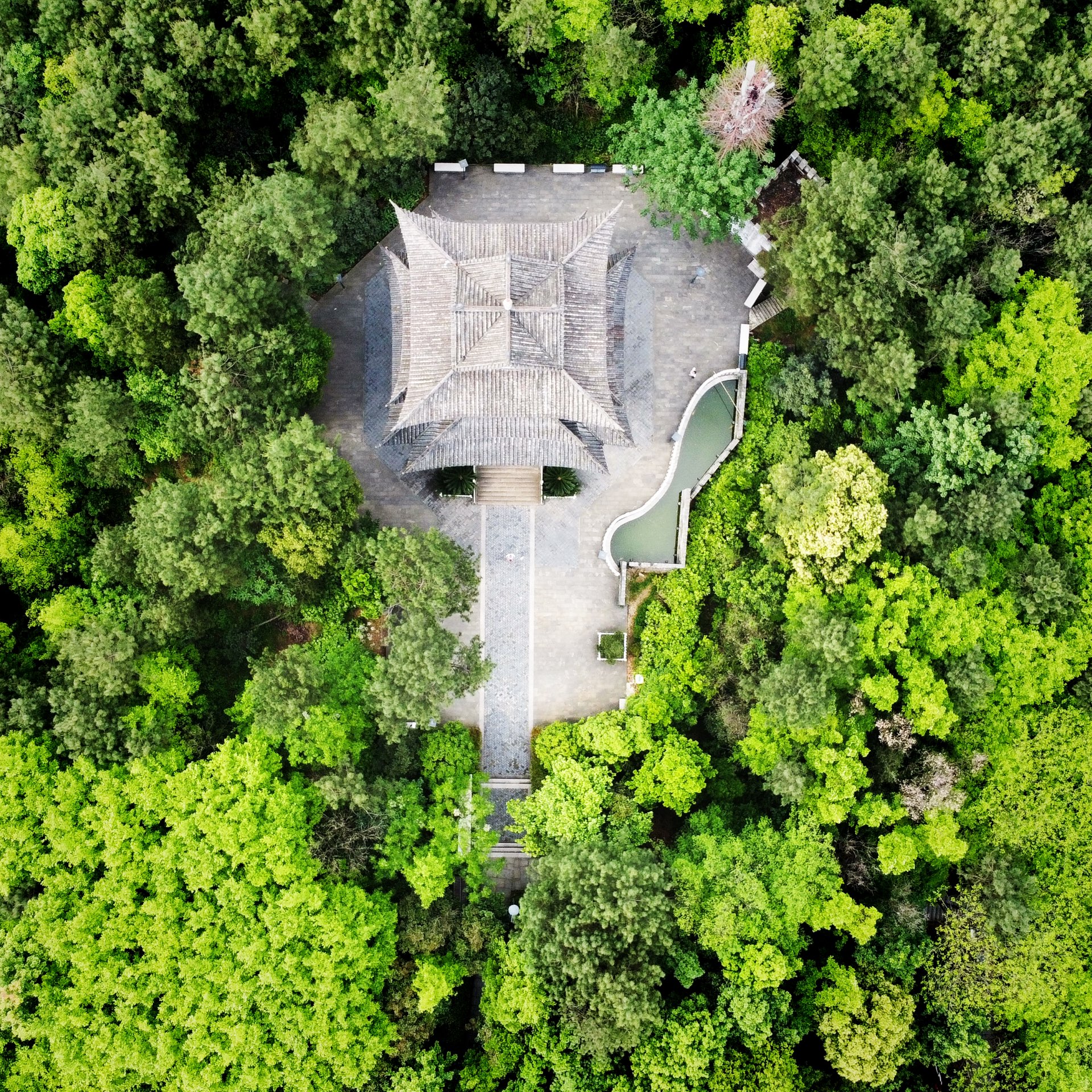 Things to Do in Yongkang in 2024 - Top Attractions, Local Food, Hotels ...