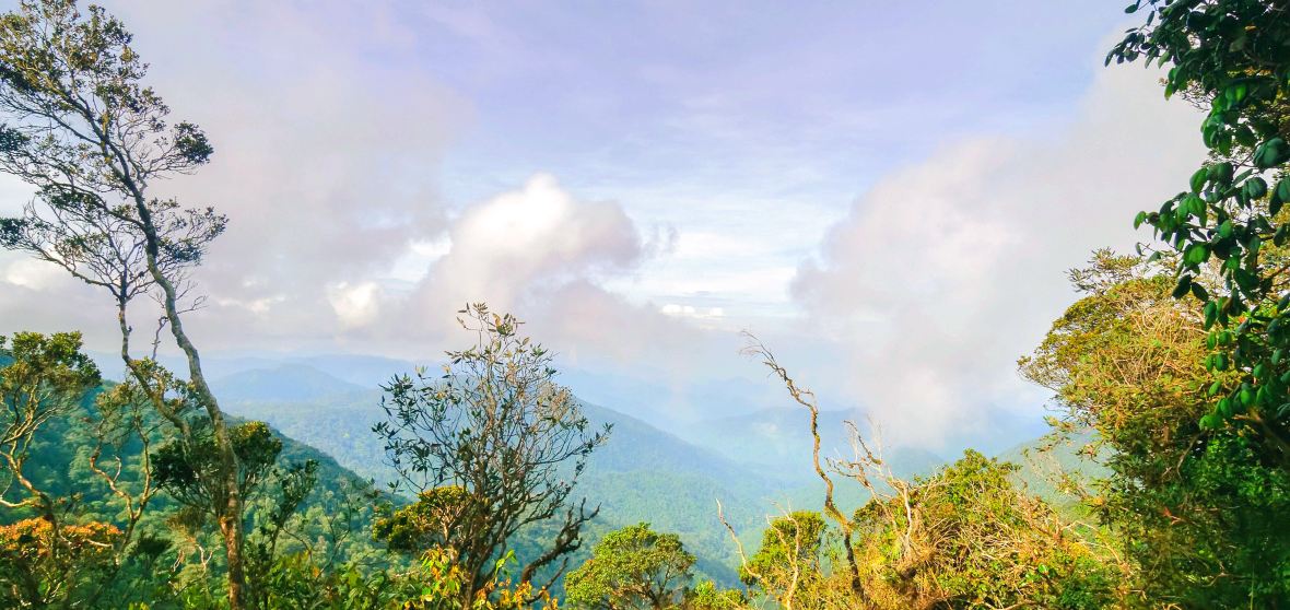 Things to Do in Ulu Telom in 2025 - Top Attractions, Local Food, Hotels ...