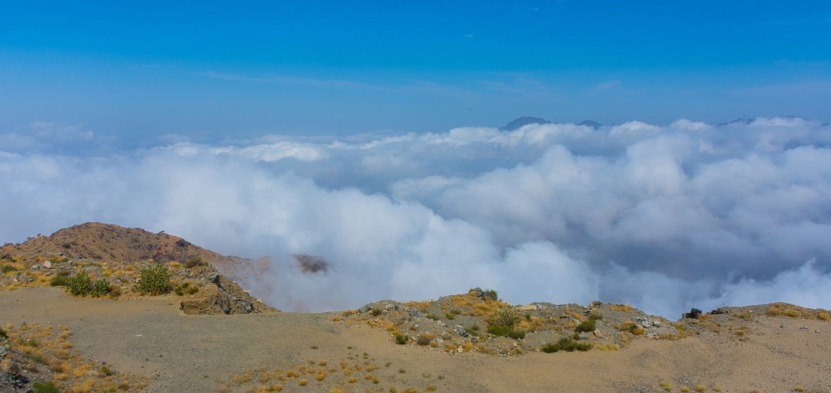 Taif Travel Guide 2025: Top Attractions, Things to Do & Deals | Trip ...