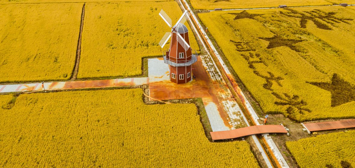 Tongjiang Travel Guide 2024 - Things to Do, What To Eat & Tips | Trip.com