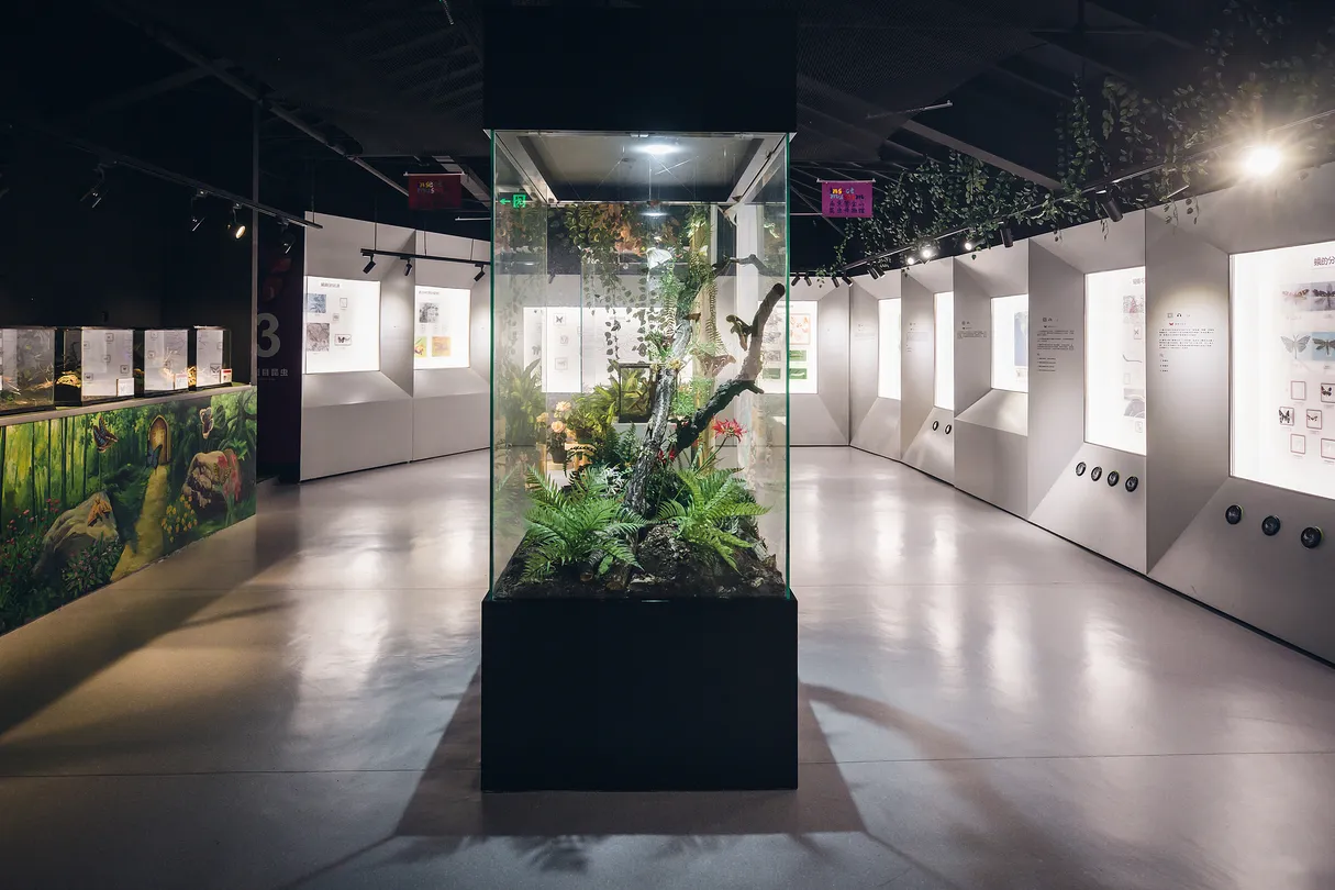 Zijin Mountain Insect Museum Tickets [2026] - Promos, Prices, Reviews ...