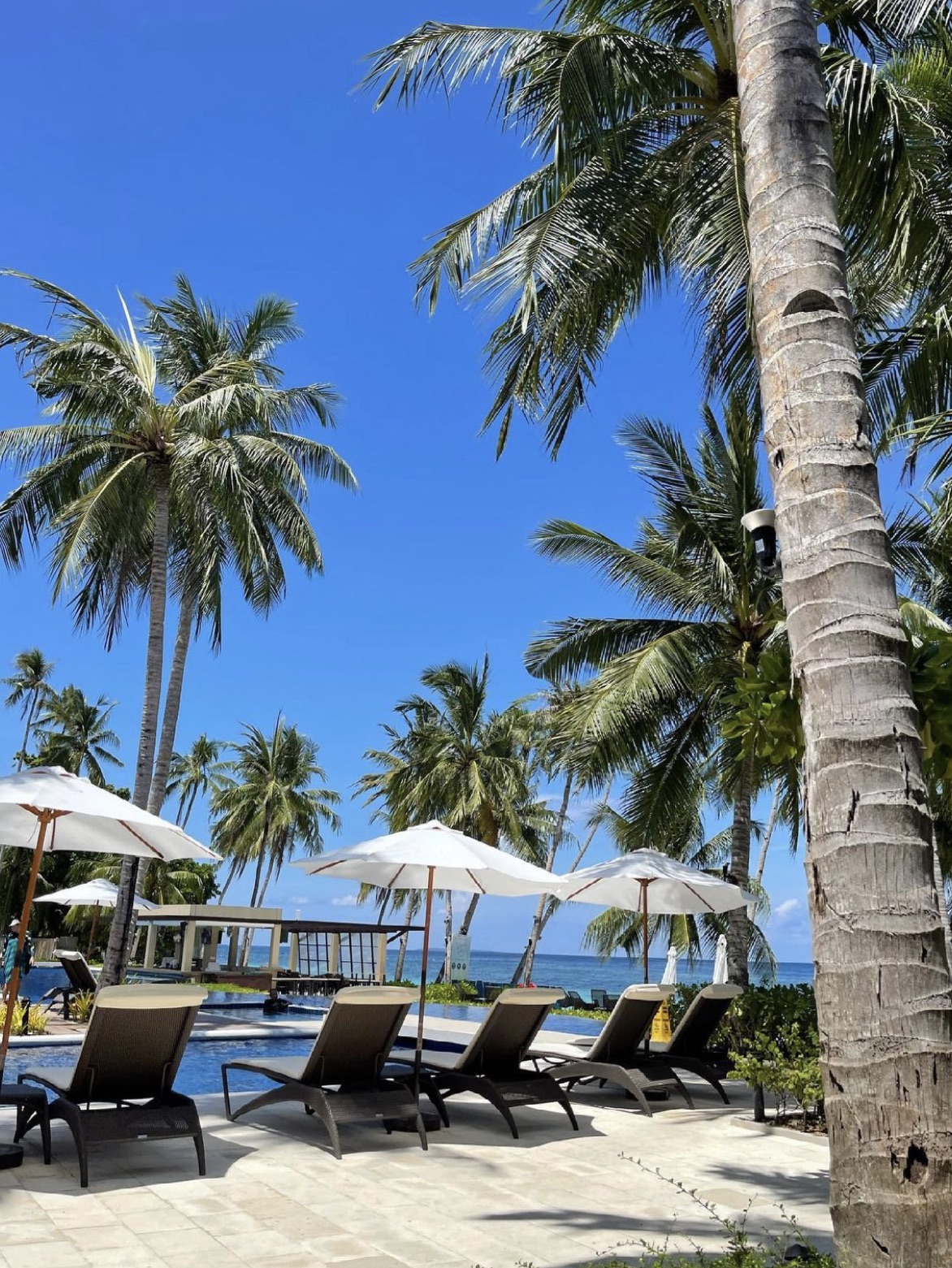 Things to Do in Panglao in 2024 - Top Attractions, Local Food, Hotels ...