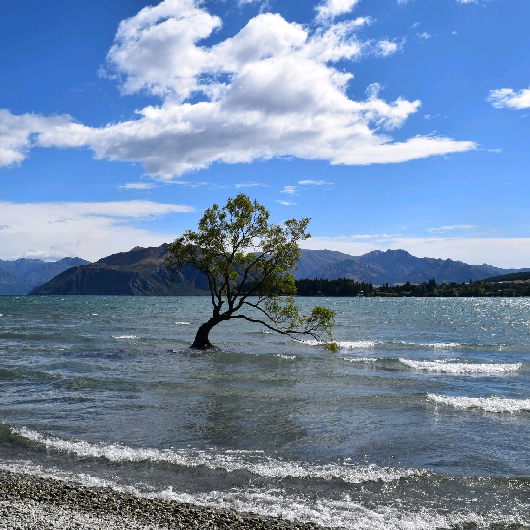 2023瓦納卡熱門推薦活動－瓦納卡旅遊攻略－瓦納卡人氣推介景點門票、酒店、好去處、餐飲及餐廳－Trip.com