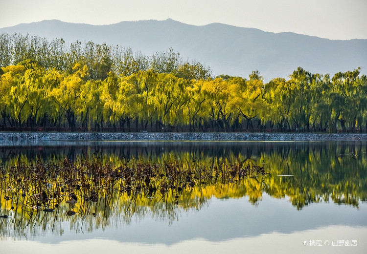 Emerald Garden Roxas Blvd Contact Number | Fasci Garden