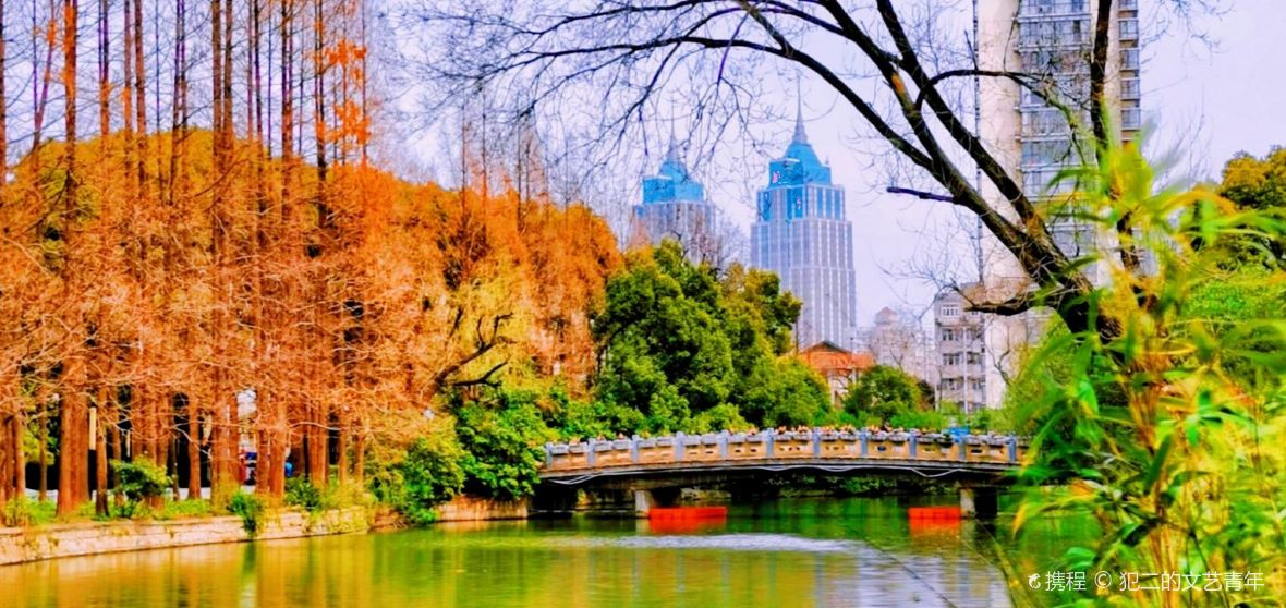 Things to Do in Putuo District in 2025 - Top Attractions, Local Food ...