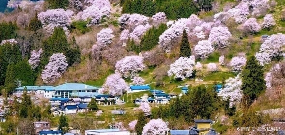 Ogawa Travel Guide 2025: Top Attractions, Things to Do & Deals | Trip ...