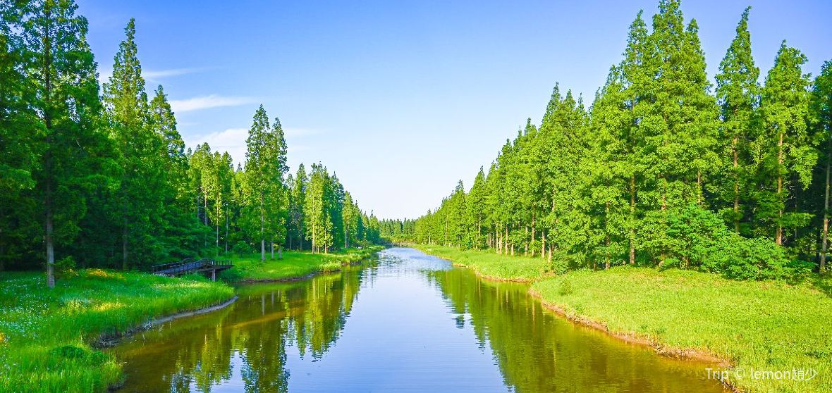 Things to Do in Dongtai in 2025 - Top Attractions, Local Food, Hotels ...