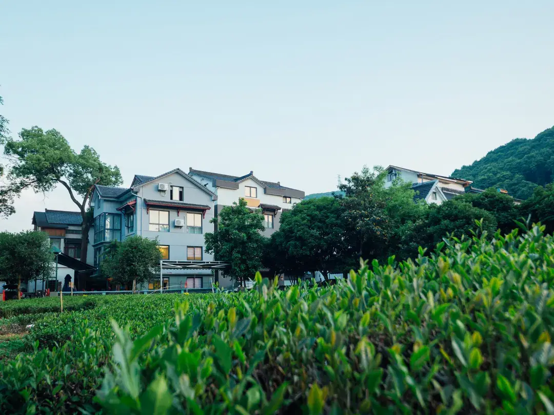 Leisure And Elegant Cottage - Hangzhou