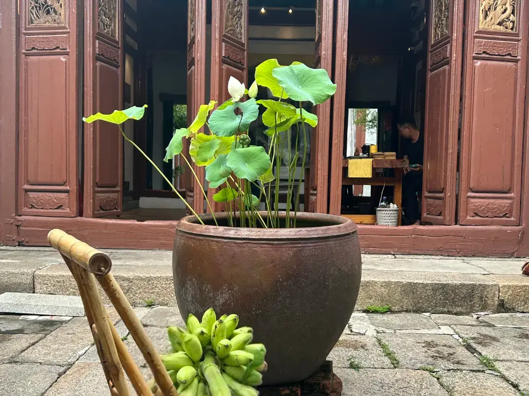 Four Points Golden Homestay - Chaozhou