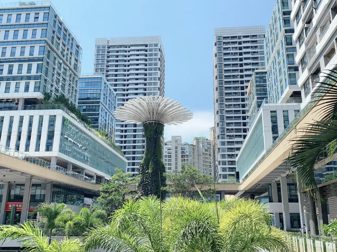 Shenzhen San Diego Apartment - Hong Kong