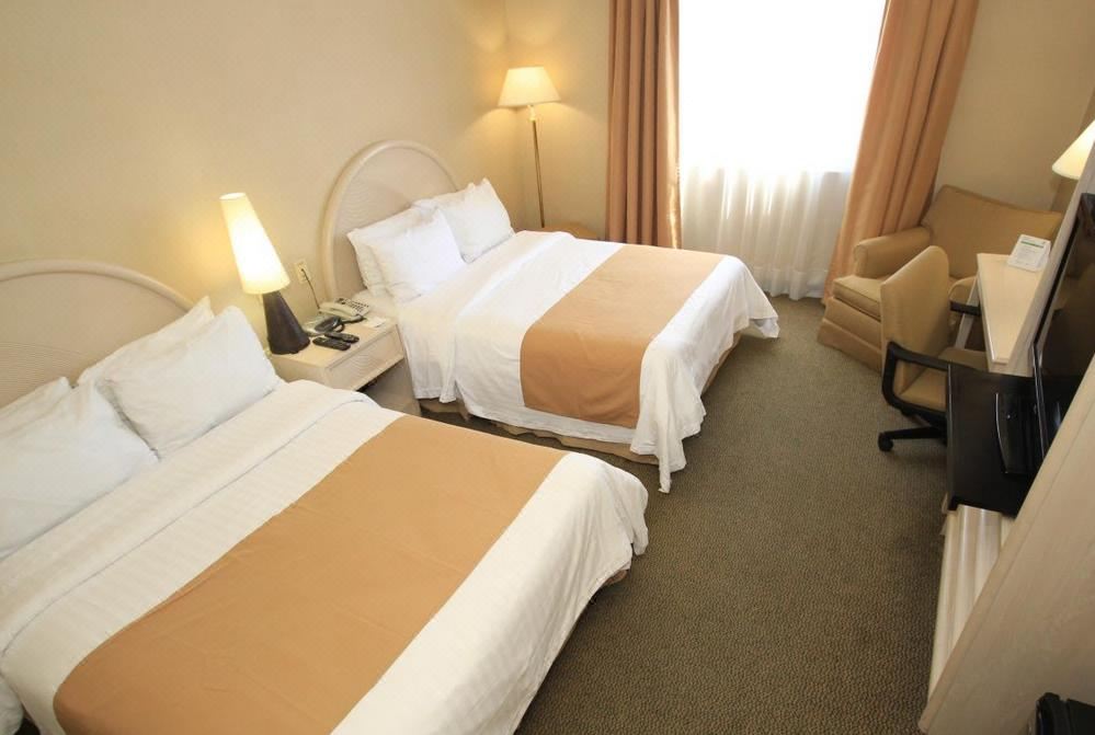 Holiday Inn Leon Centro De Convenciones - León de los Aldama